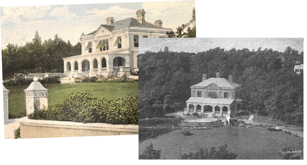 Story - Rosedon Hotel